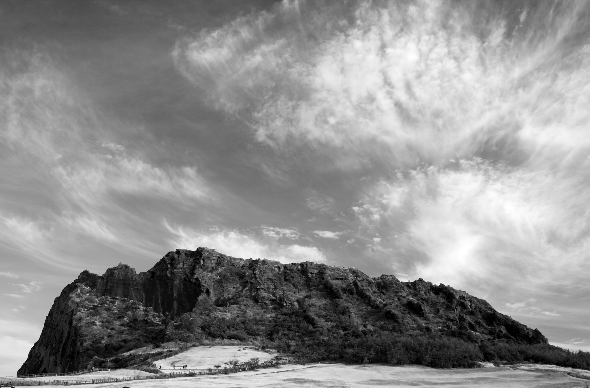 Finding Nature | Welcome to Infusion