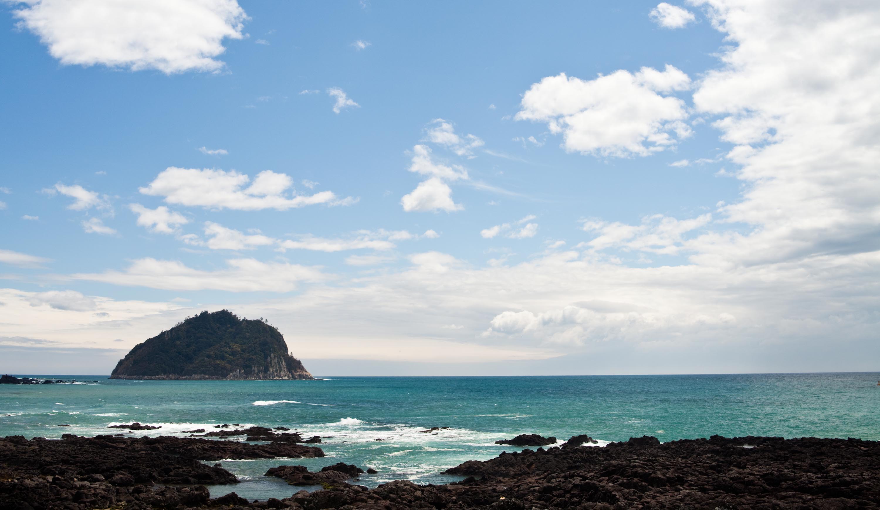 Finding Nature | Welcome to Infusion