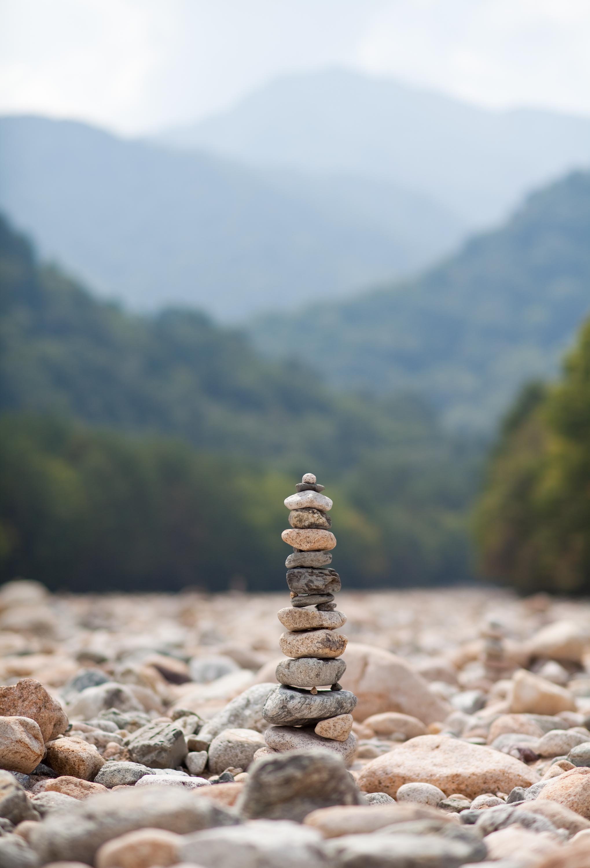 Finding Nature | Welcome to Infusion