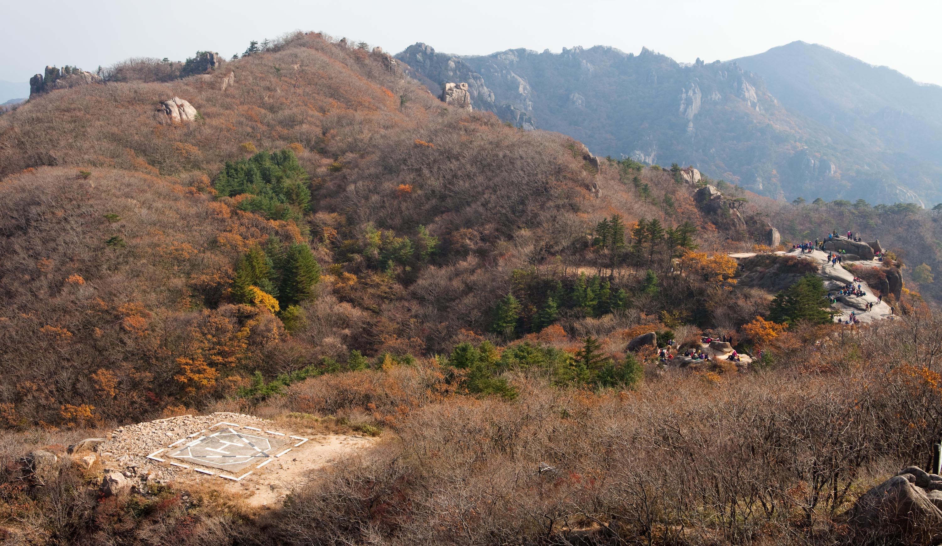 Finding Nature | Welcome to Infusion